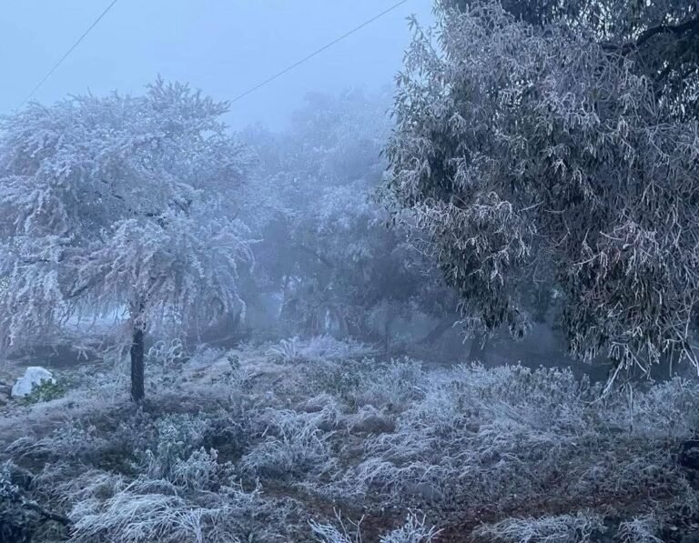 Heladas de hasta -5 grados pegarán a Querétaro este fin de semana ...